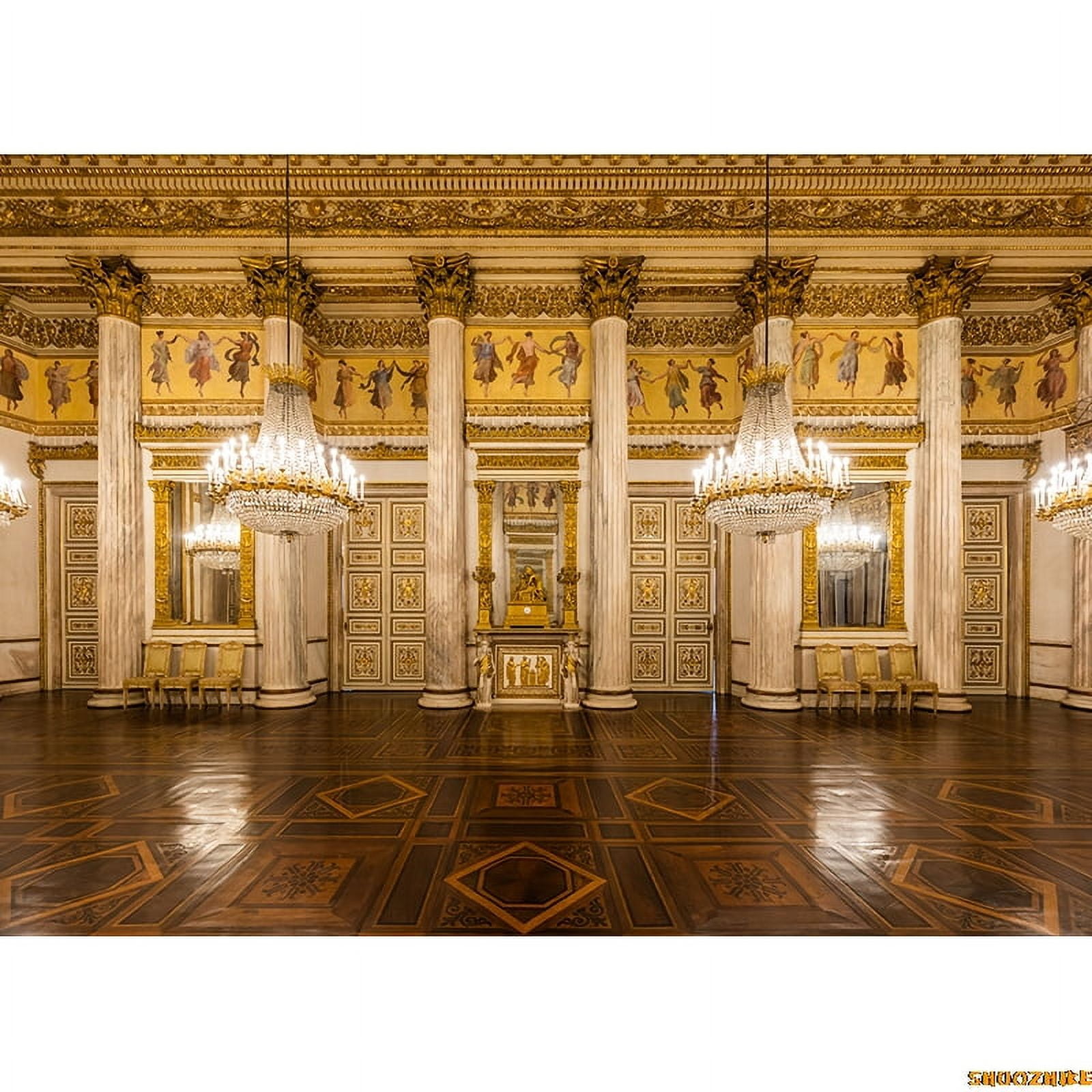 Retro Castle Theme Photography Backdrops Props Vintage Theater Opera ...