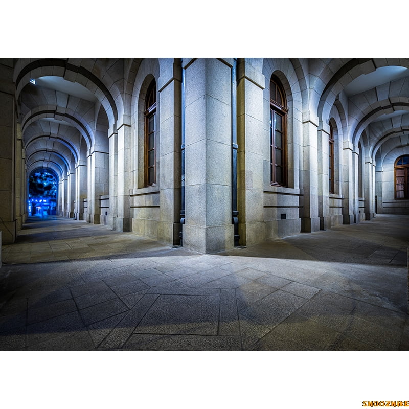 Retro Castle Theme Photography Backdrops Props Wedding Theater Opera ...