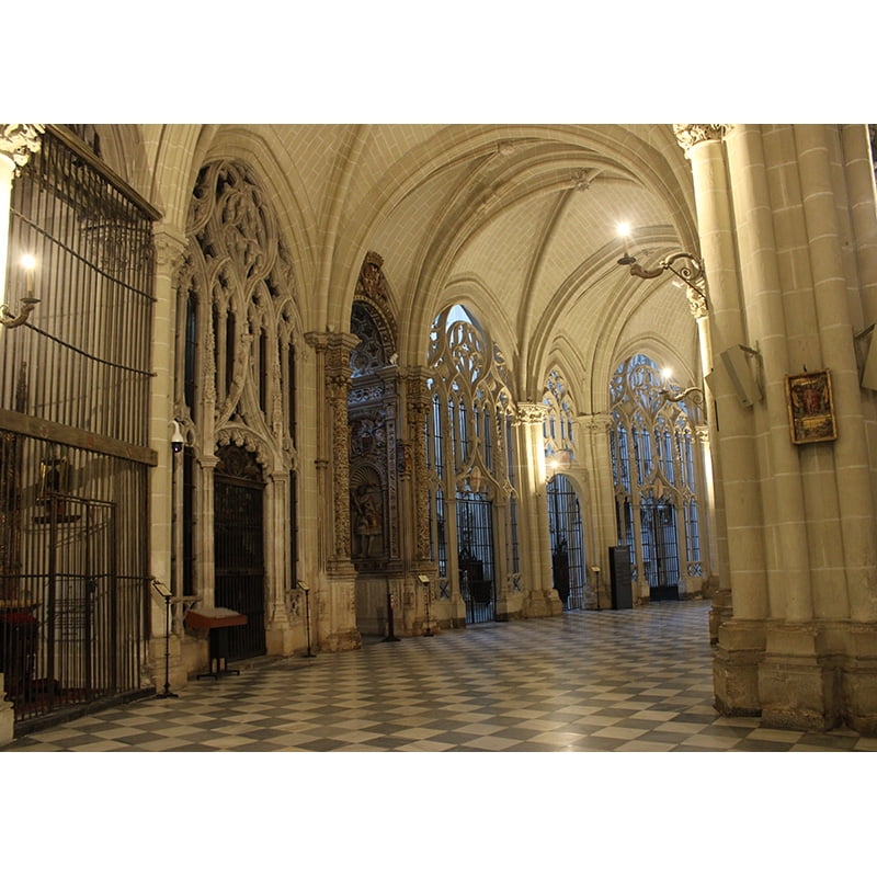 Retro Castle Theme Photography Backdrops Props Wedding Theater Opera ...