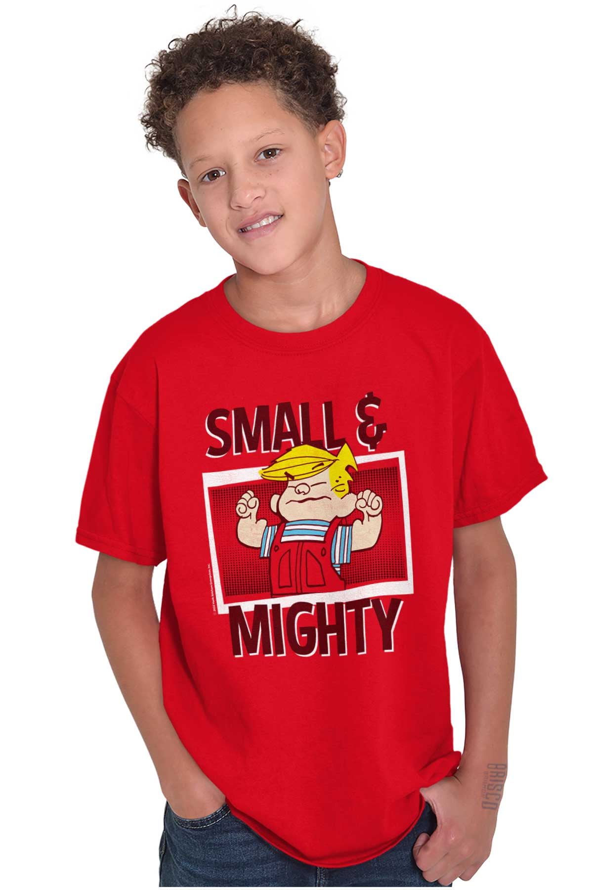 Retro Dennis The Menace Small Mighty Boys Kids T Shirt Tees Tops Teen Brisco Brands S - Walmart.com