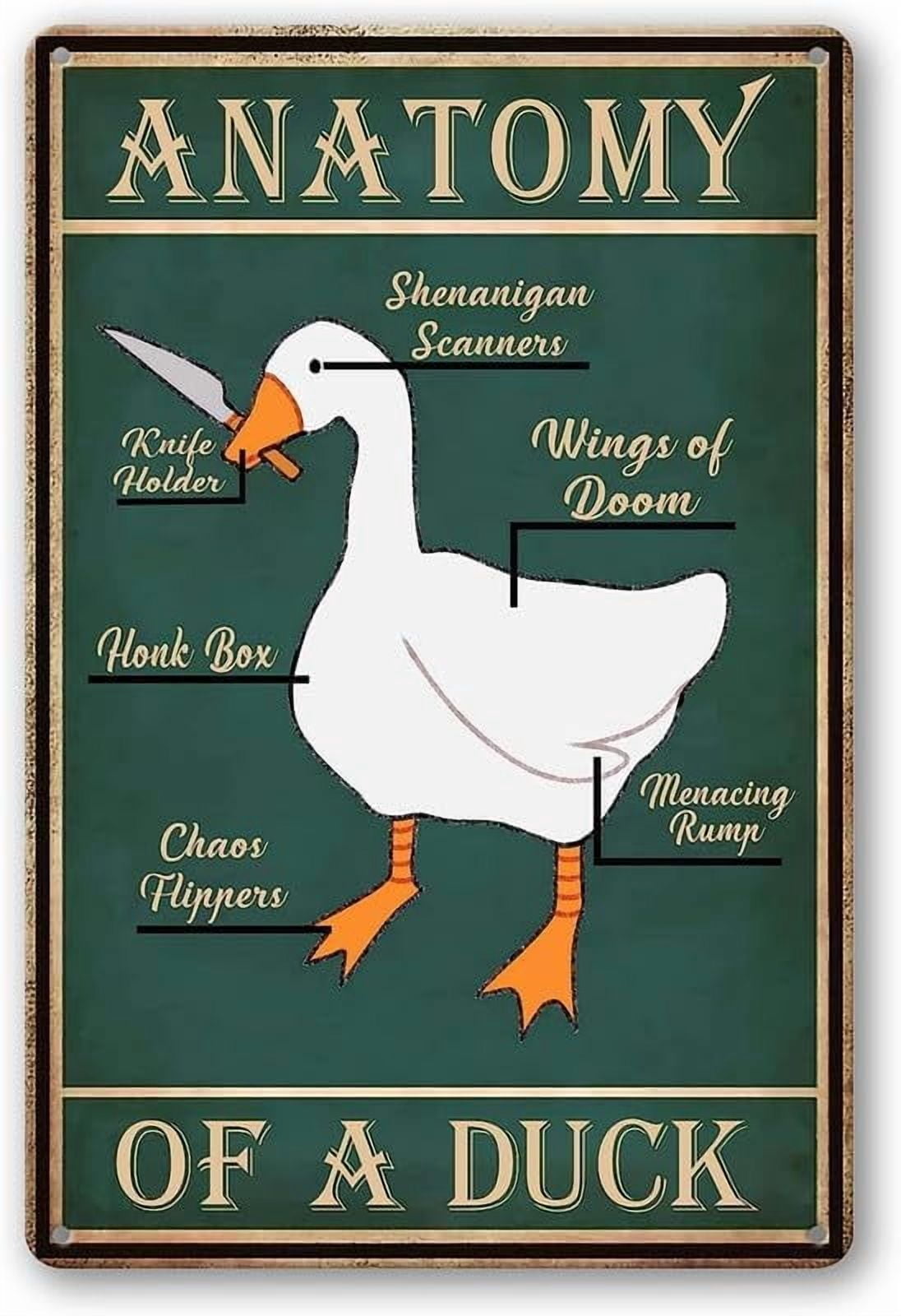 Retro Duck Knowledge Metal Tin Sign Magnetic Goose Anatomy Wall Art ...