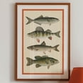 Retro Fish Print Outdoors Art Fishing Poster Fishing Gift For Dad ...