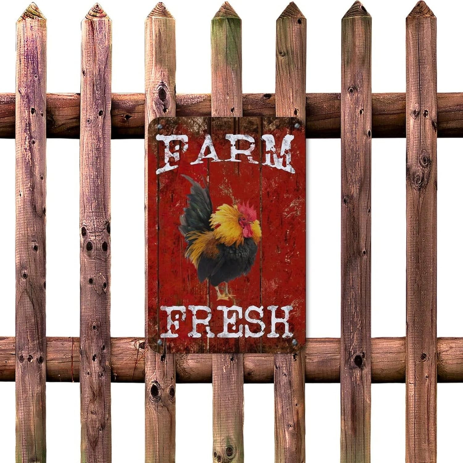 Retro Fresh Eggs Metal Tin Sign Metal Tin Signs Market Country Farm ...