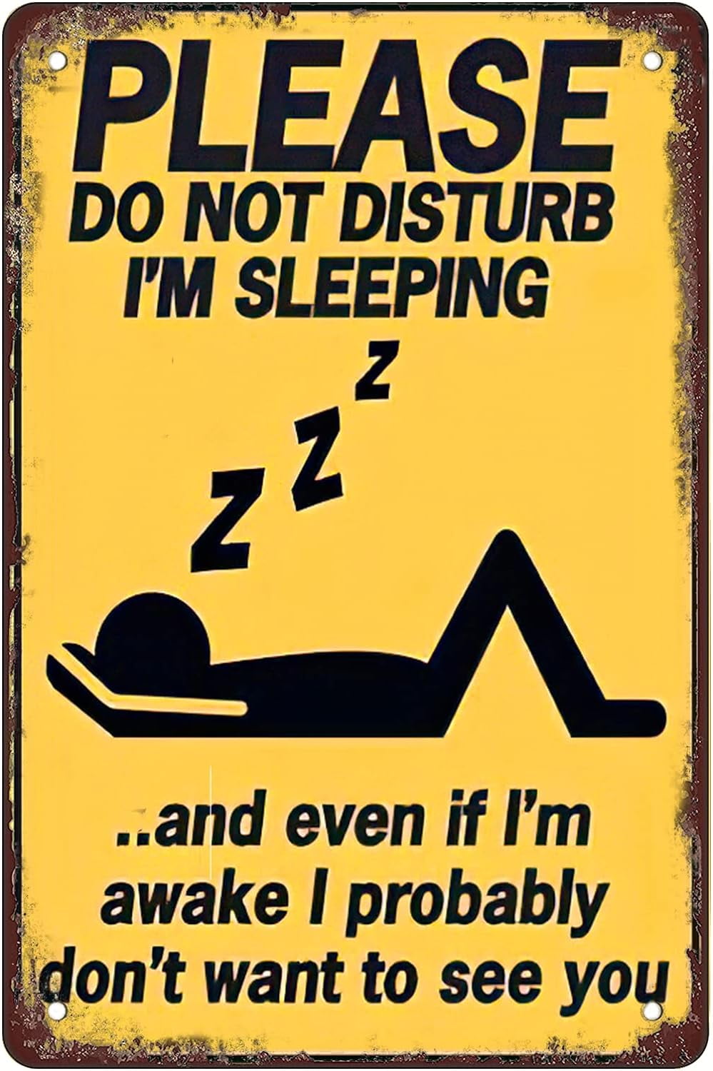 Retro Funny Metal Sign Sheet Signs Tin Sign,Please Do Not Disturb I'm ...