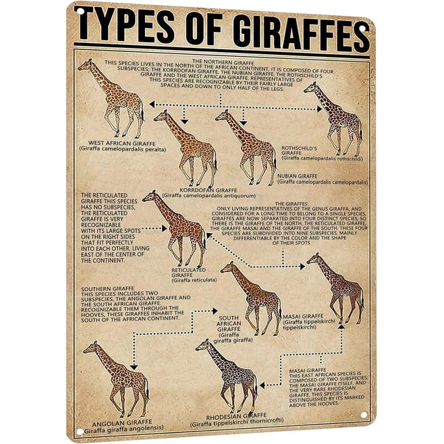 Retro Giraffe Knowledge Metal Sign - Types of Giraffes Educational Tin ...