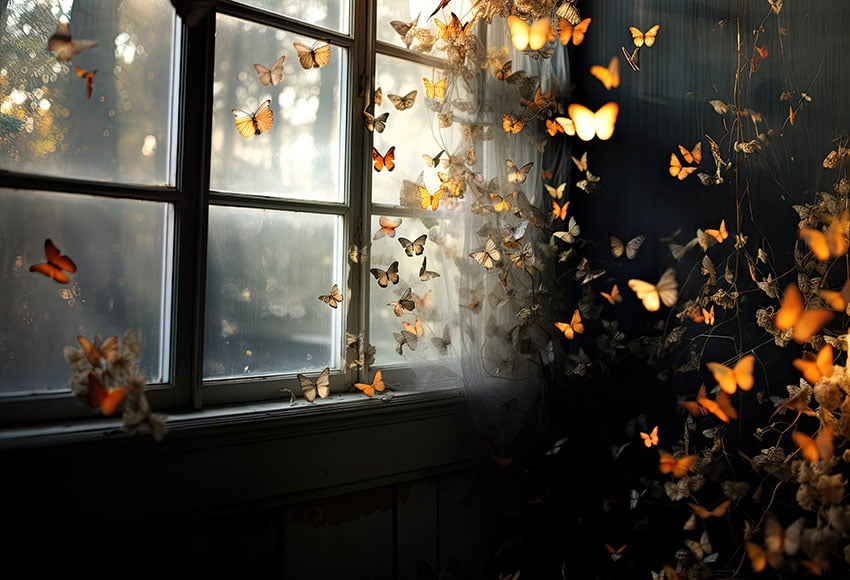 Retro Indoor Window Butterfly Kid Birthday Party Cake Smash Portrait r ...