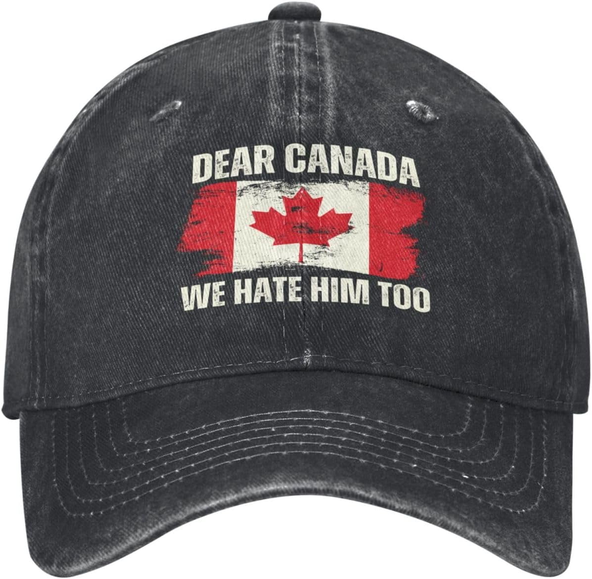 Retro-Look Hat – We Dislike Him Too – A Nod to Canadian Humor - Walmart.com
