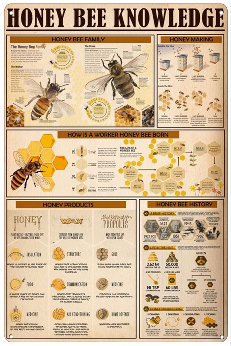 Retro Metal Aluminium Sign Honey Bee Knowledge Bee Lover Gift Bee Collection Poster Vintage Wall ...