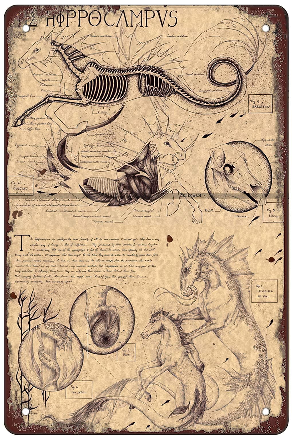 Retro Metal Aluminium Sign Sheet, THE HIPPOCAMPUS knowledge, outdoor ...