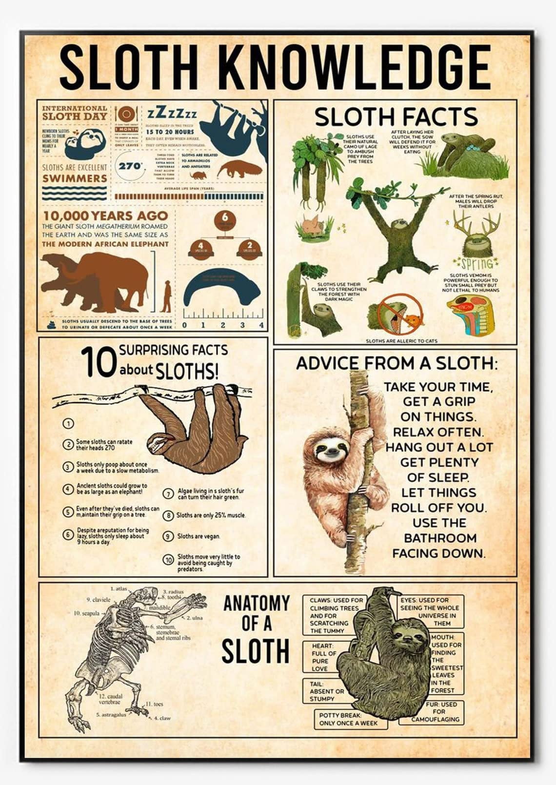 Retro Metal Aluminium Sign Sloth Knowledge Poster Sloth Facts Poster ...