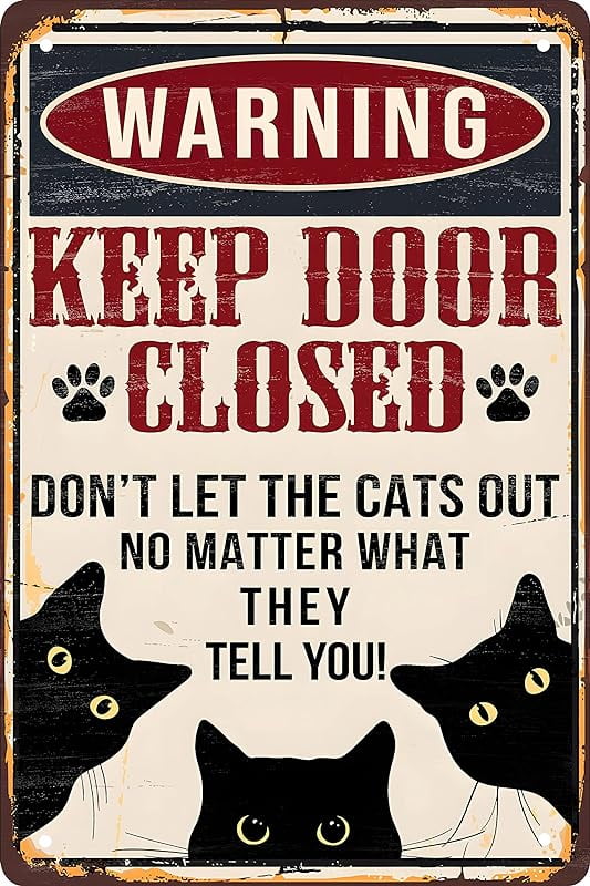 Retro Metal Sign Vintage Tin Sign I Pledge Allegiance to The Flag of ...