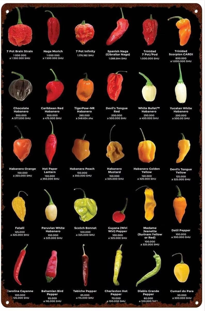 Retro Metal Tin Sign 8 X 12 Inches The Big List of Hot Peppers Hot ...