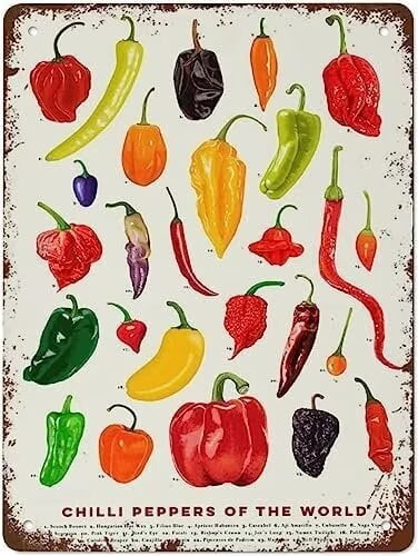 Retro Metal tin Sign Funny Chilli Peppers of The World - Giclee Print ...