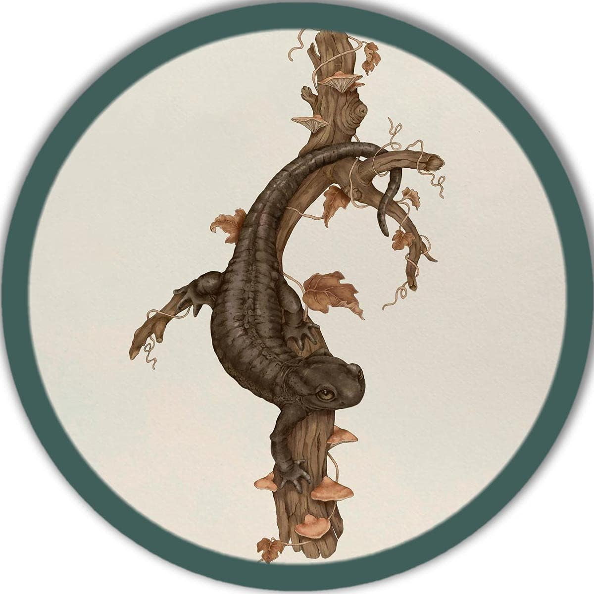 Retro Round Sign Alpine Salamander Sign Wildlife Nature Sign Amphibian ...