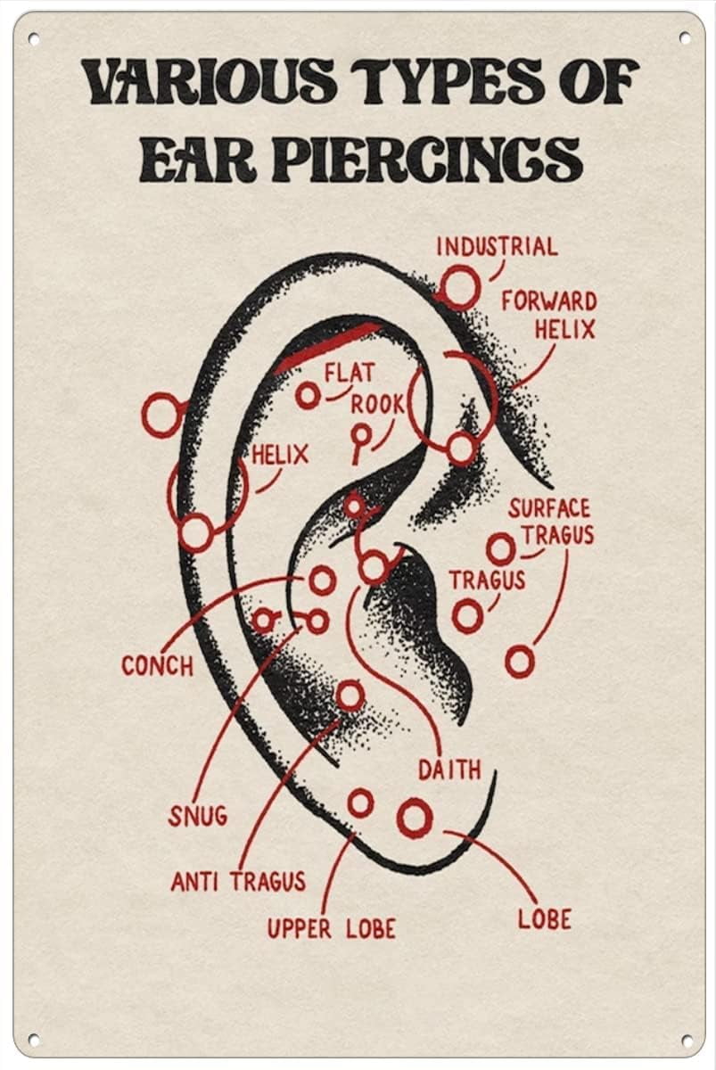 Retro Sign Tin Sign Various Types of Ear Ear Piercings Knowledge ...
