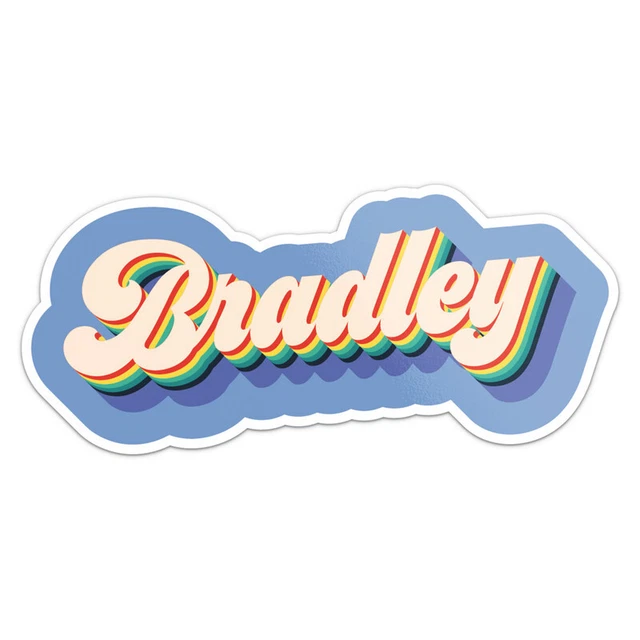 Retro Style Bradley Male Sticker Phone Decal Water Bottle Stickers Car ...