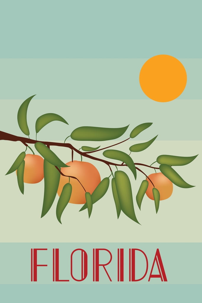 Retro Style Florida Oranges Sunshine State Miami Palm Beach Travel ...