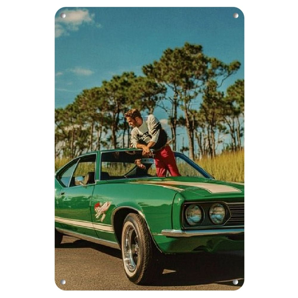 Retro Style Metal Sheet Signboard 8X12 Inches - Sexy Beauty And Sports Car Theme - Perfect ...