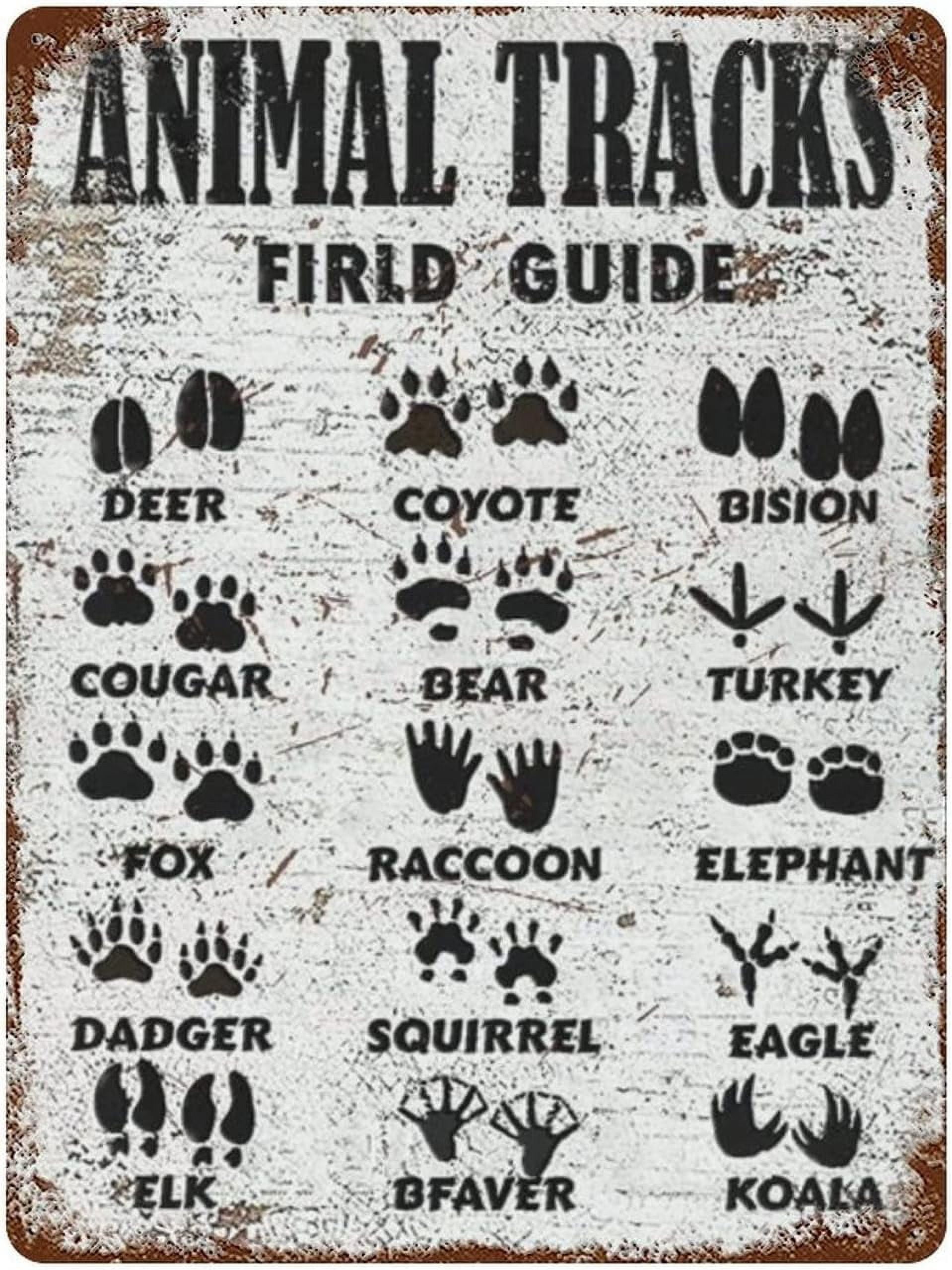 Retro Tin Sign Animal Track Woodland Nursery Field Guide Wildlife ...