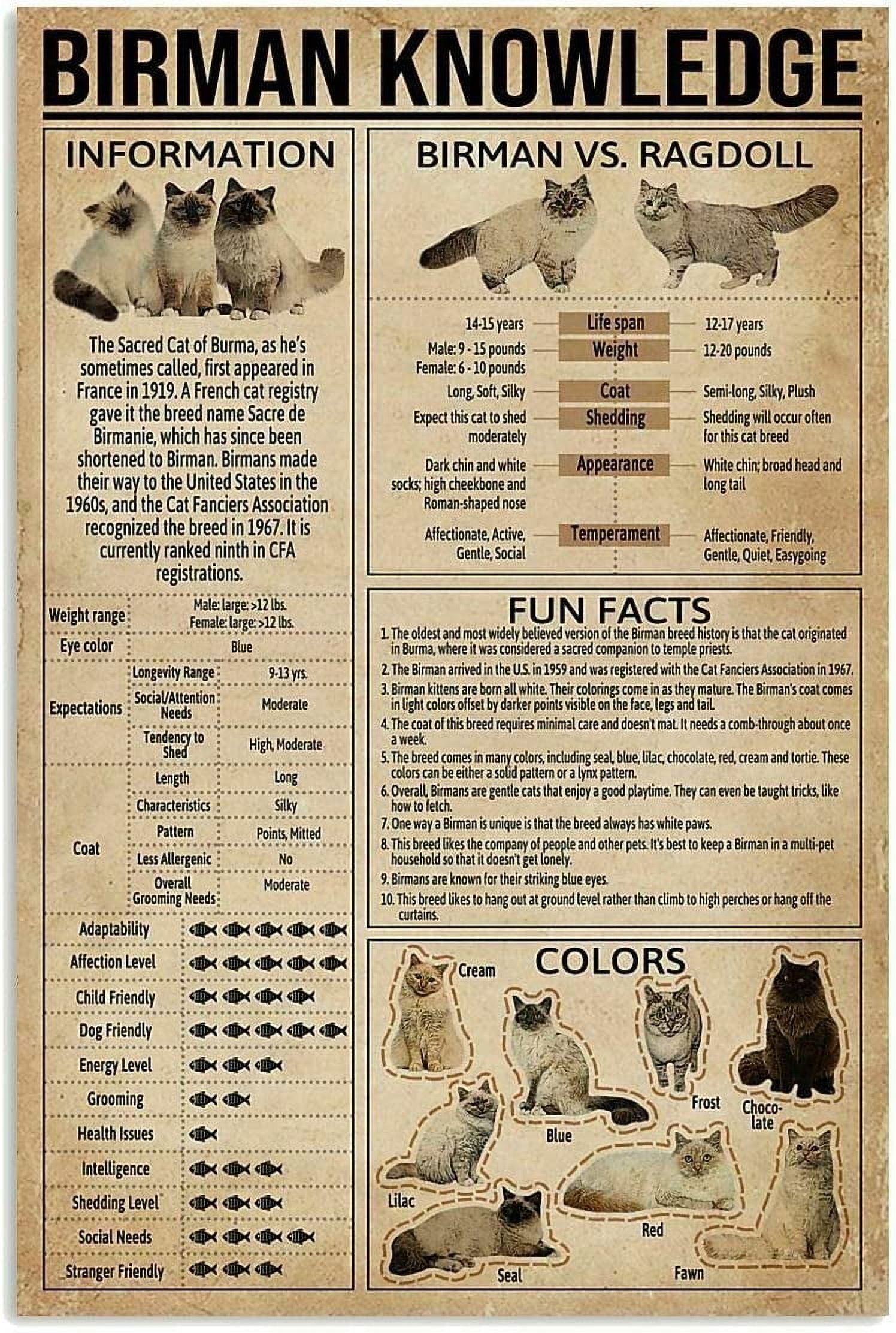 Retro Tin Sign Birman Knowledge People Cave Poster 12x8Inches - Walmart.com