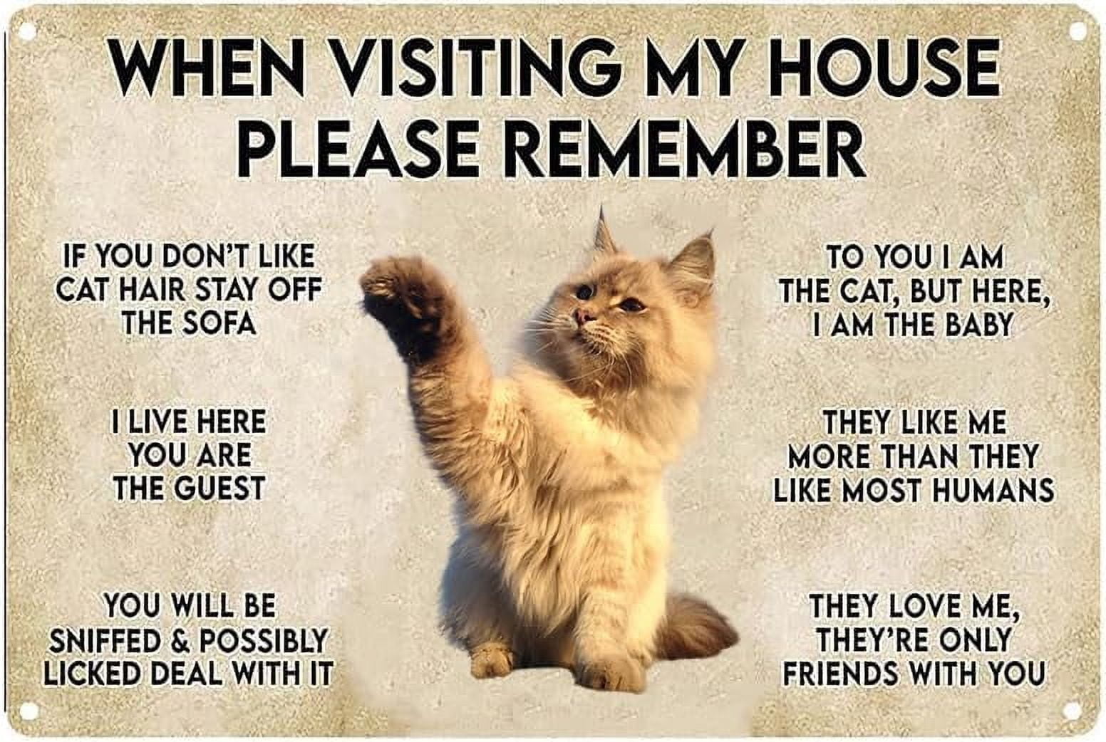 Retro Tin Sign Cat When Visiting My House Please Remember Cafe Poster ...