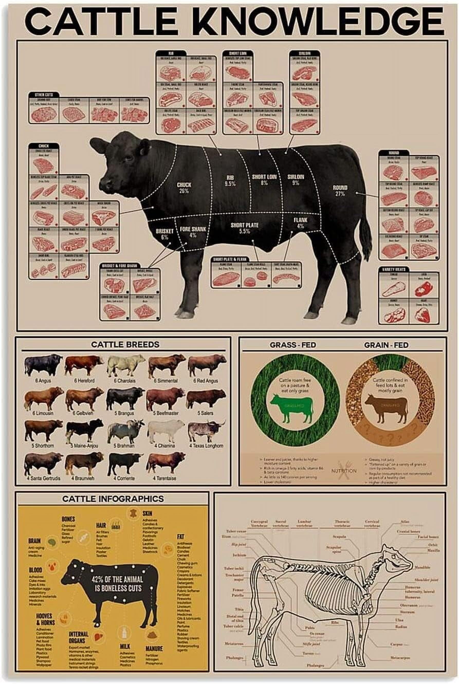 Retro Tin Sign Cattle Knowledge Breed Information Animal Farm Anatomy ...