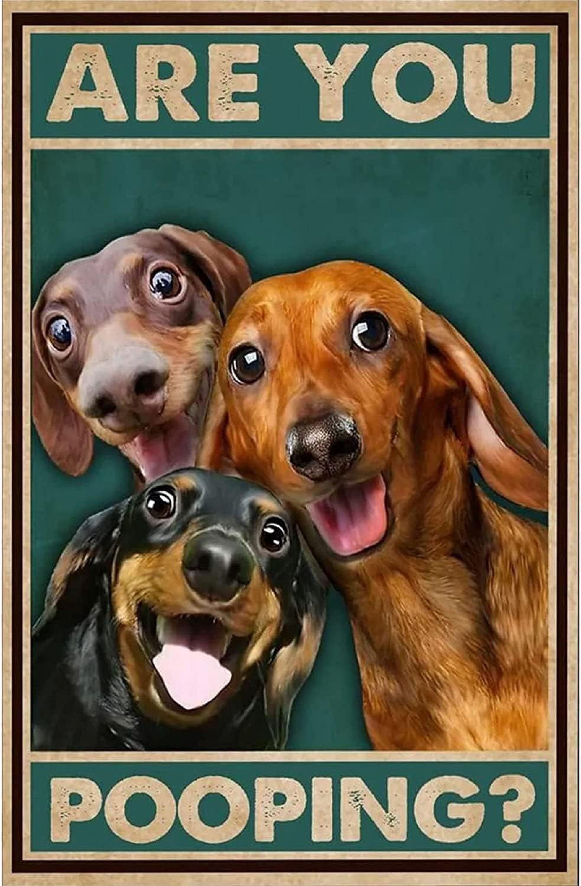 Retro Tin Sign Dachshund You Pooping Poster 12x8Inches - Walmart.com