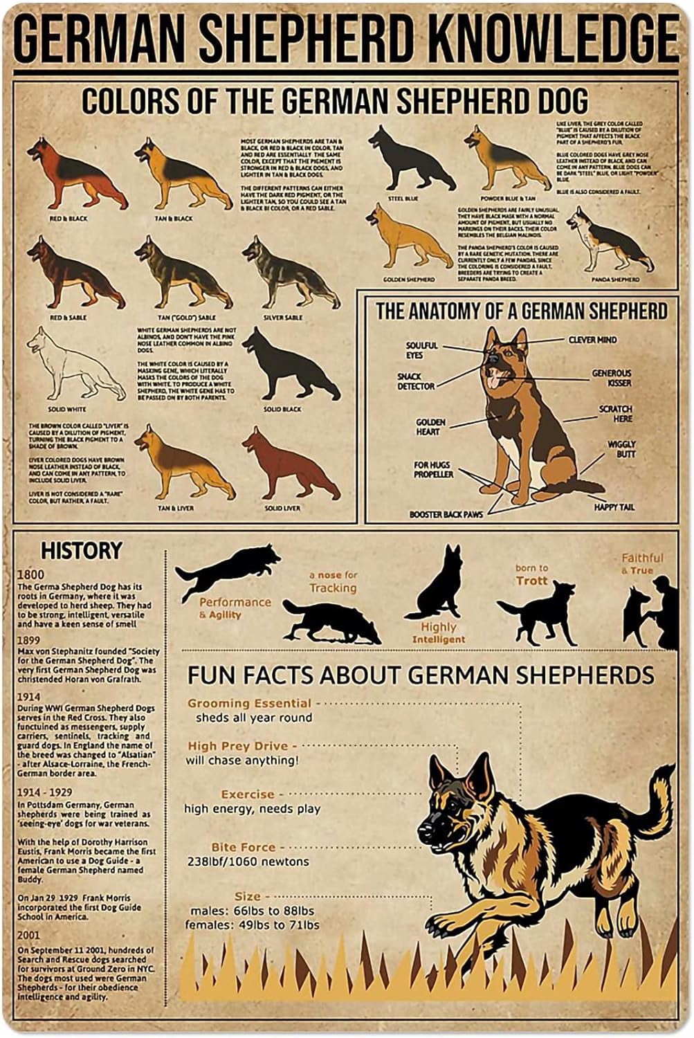 Retro Tin Sign Dog Knowledge German Shepherd Anatomy Color Poster ...