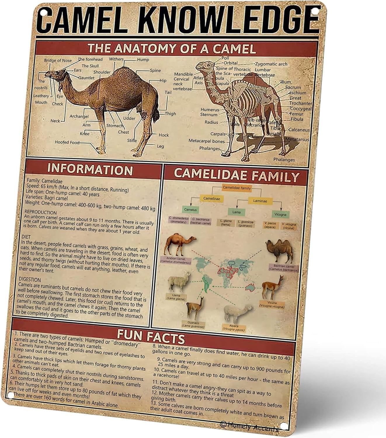 Retro Tin Sign Educational Camel Knowledge Kids Nursery Camel Lover ...