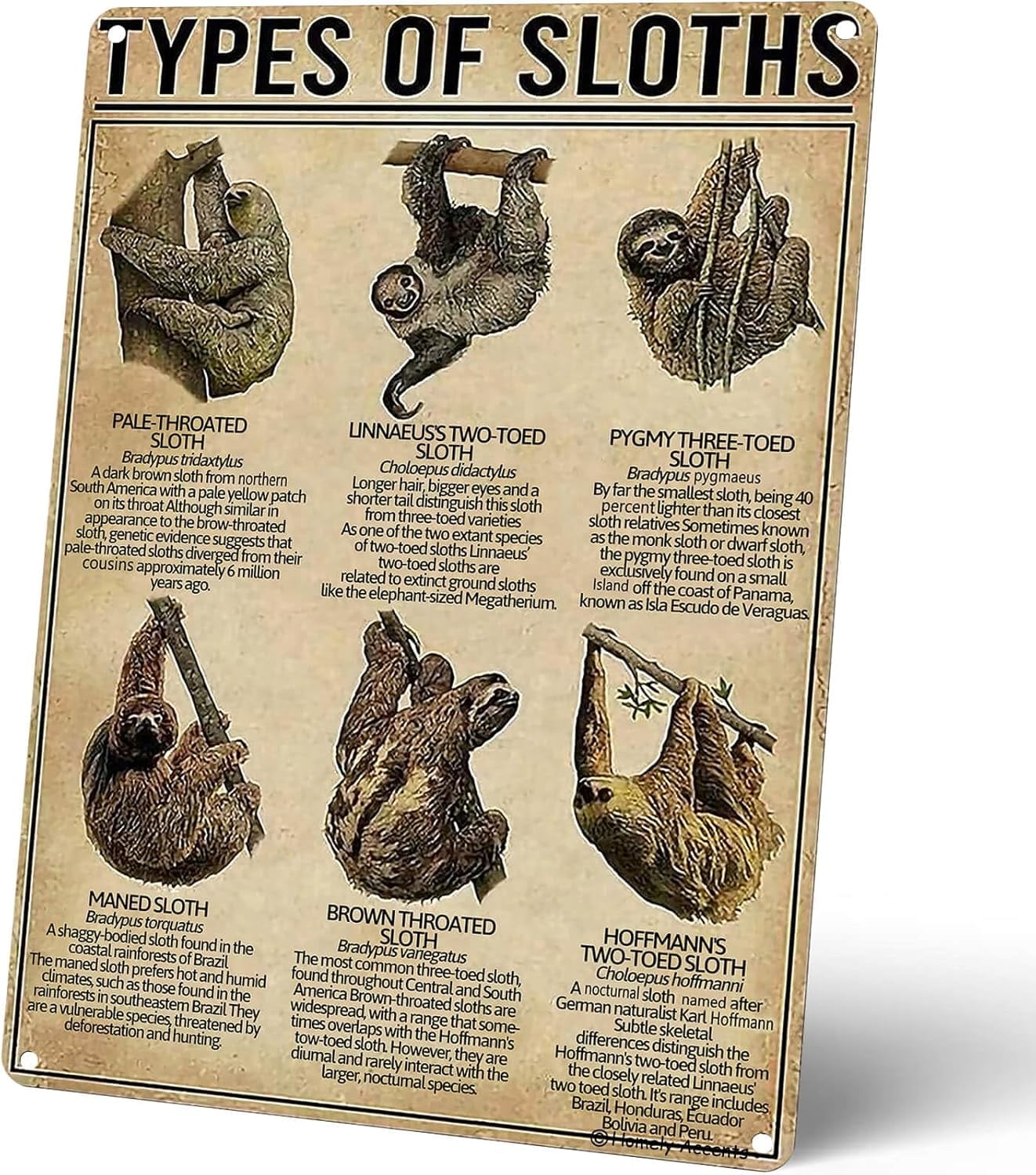 Retro Tin Sign Farm Educational Typ Of Sloths Kids Rooms Classrooms And ...