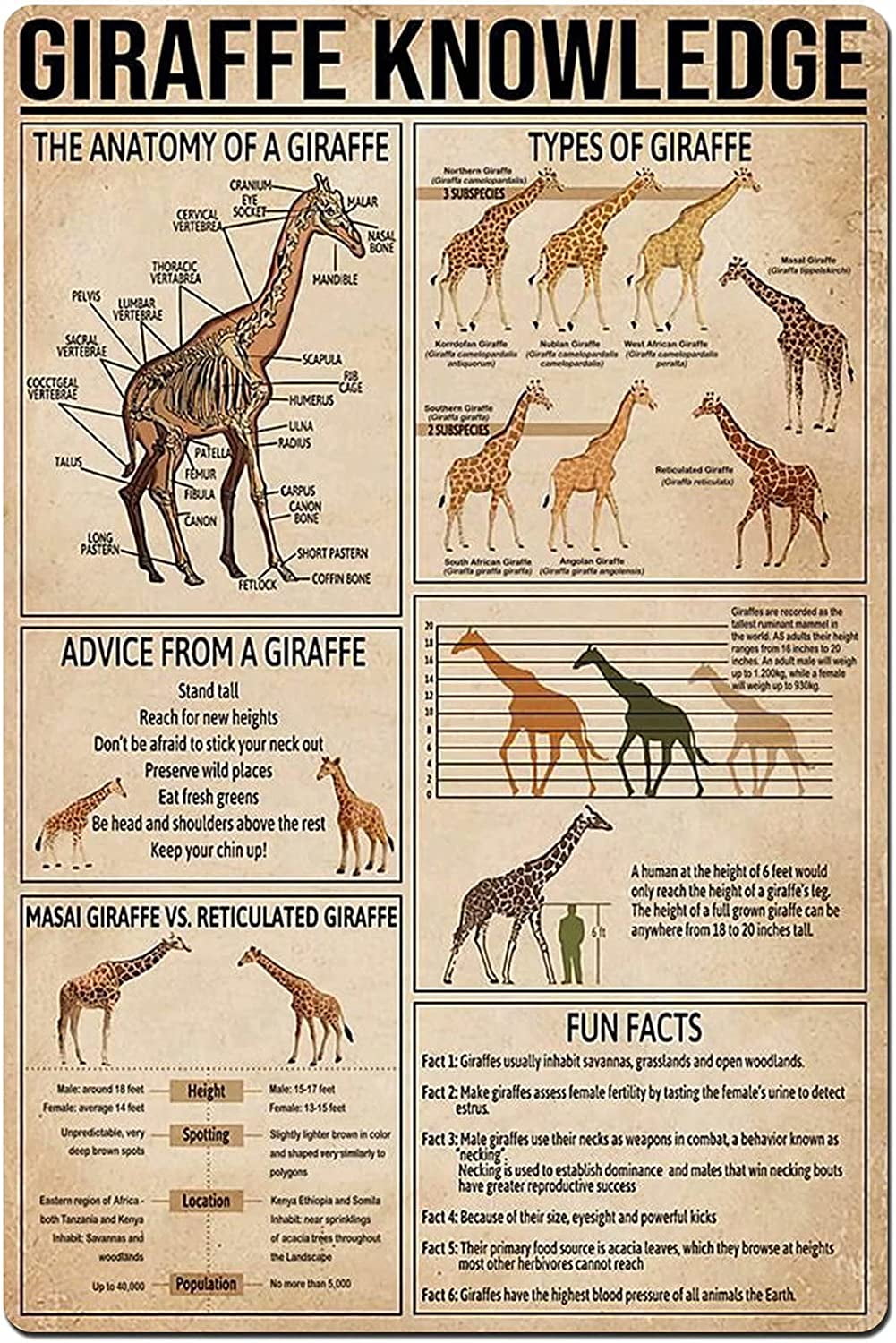 Retro Tin Sign Giraffe Knowledge The Anatomy Of A Giraffe Garden Men ...
