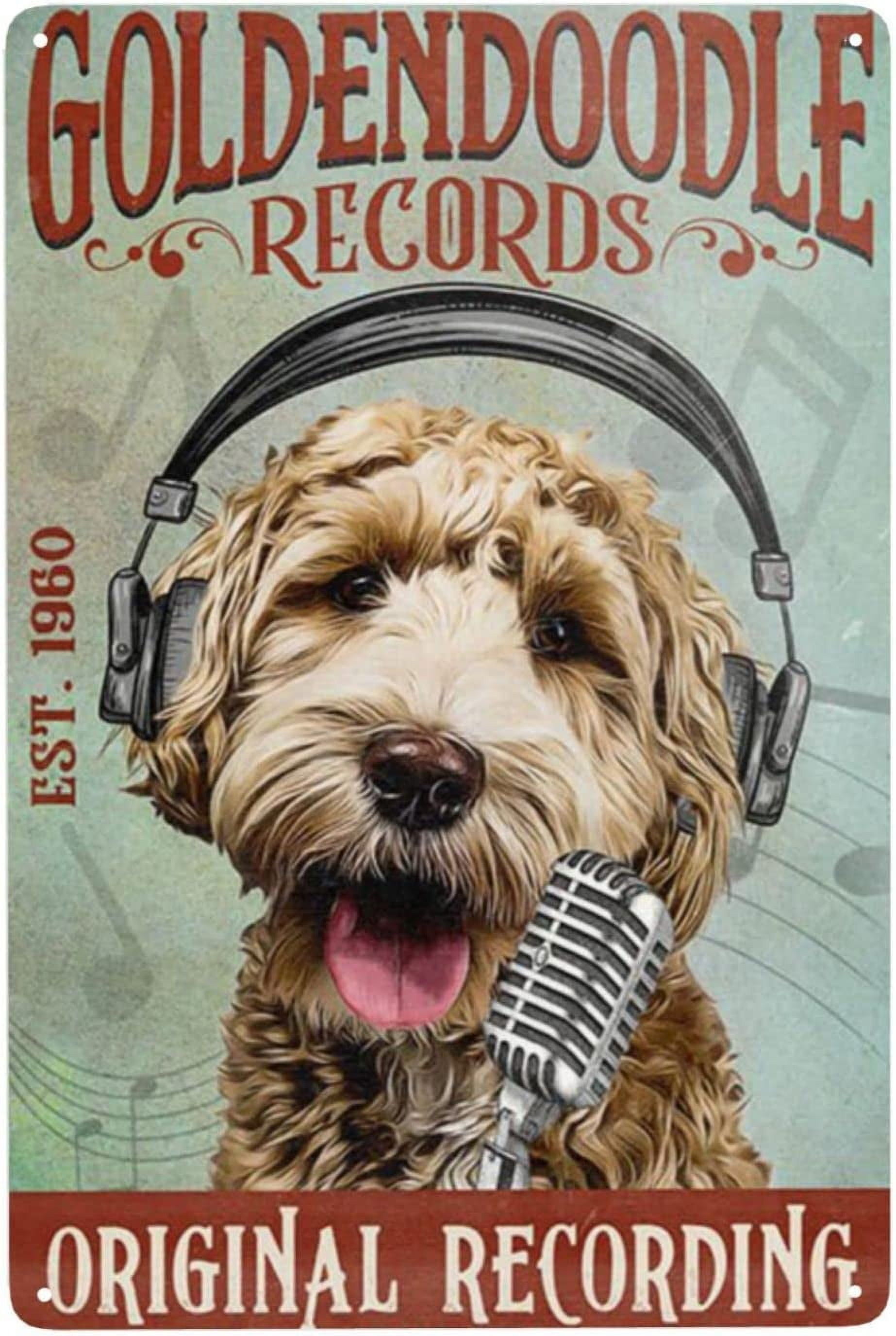 Retro Tin Sign Goldendoodle Dog Original Recording Poster 12x8Inches ...