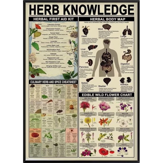 Retro Tin Sign Herb Knowledge Herbal First Aid Kit And Body Map And ...