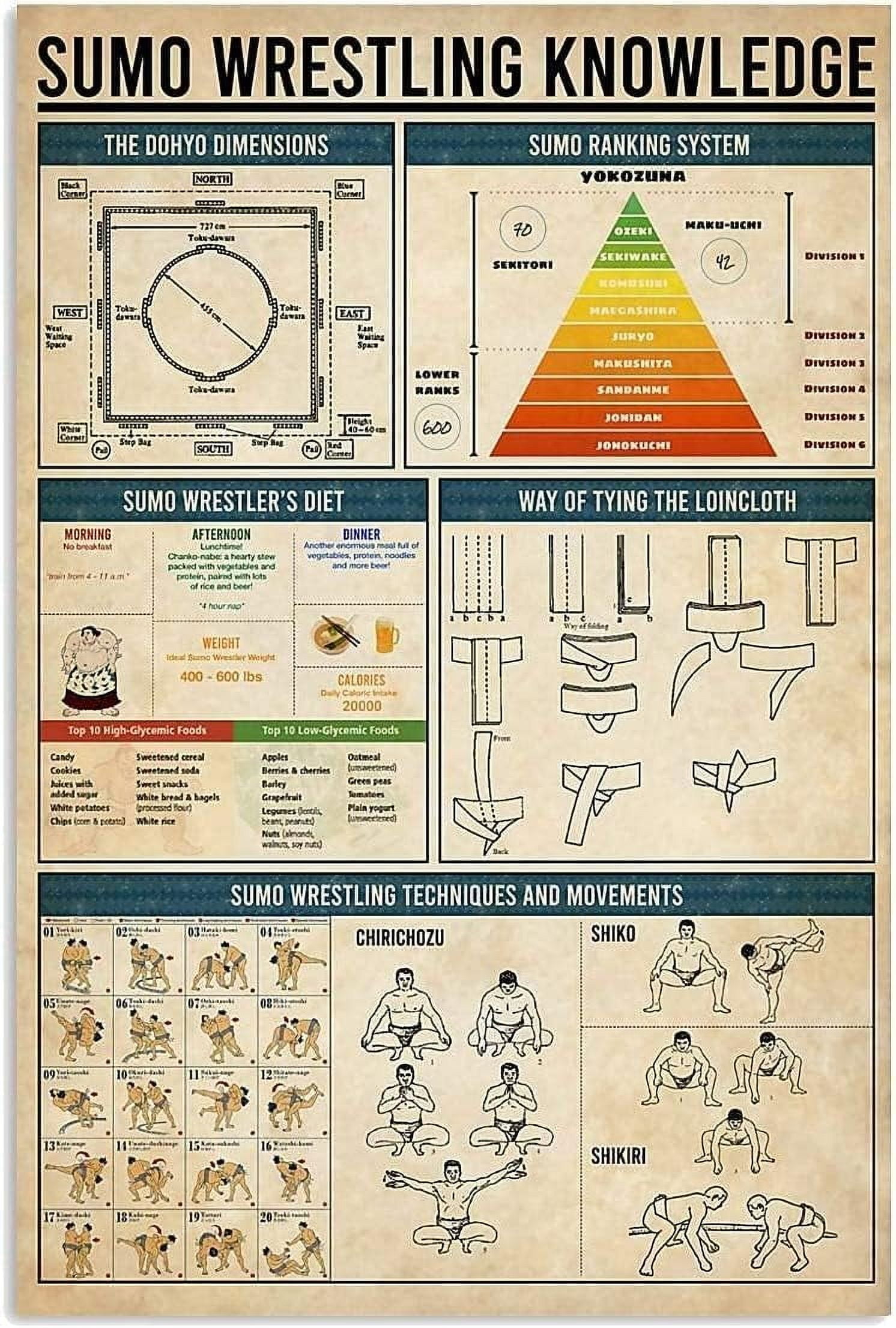 Retro Tin Sign Sumo Wrestling Knowledge Gam Poster 12x8Inches - Walmart.com