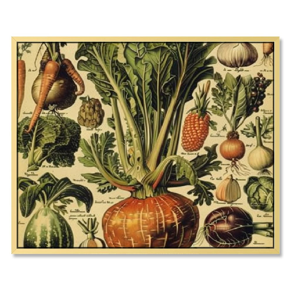 Retro Vegetable Posters Legumes Art Botanical Educational For Home ...