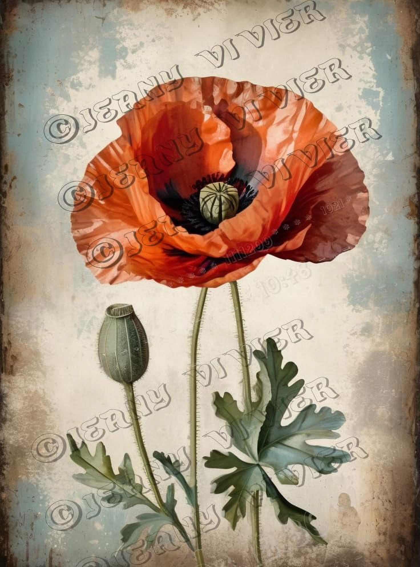 Retro Vintage Garden Red Poppy Wall Art, Flower Aluminum Sign 12x8 ...