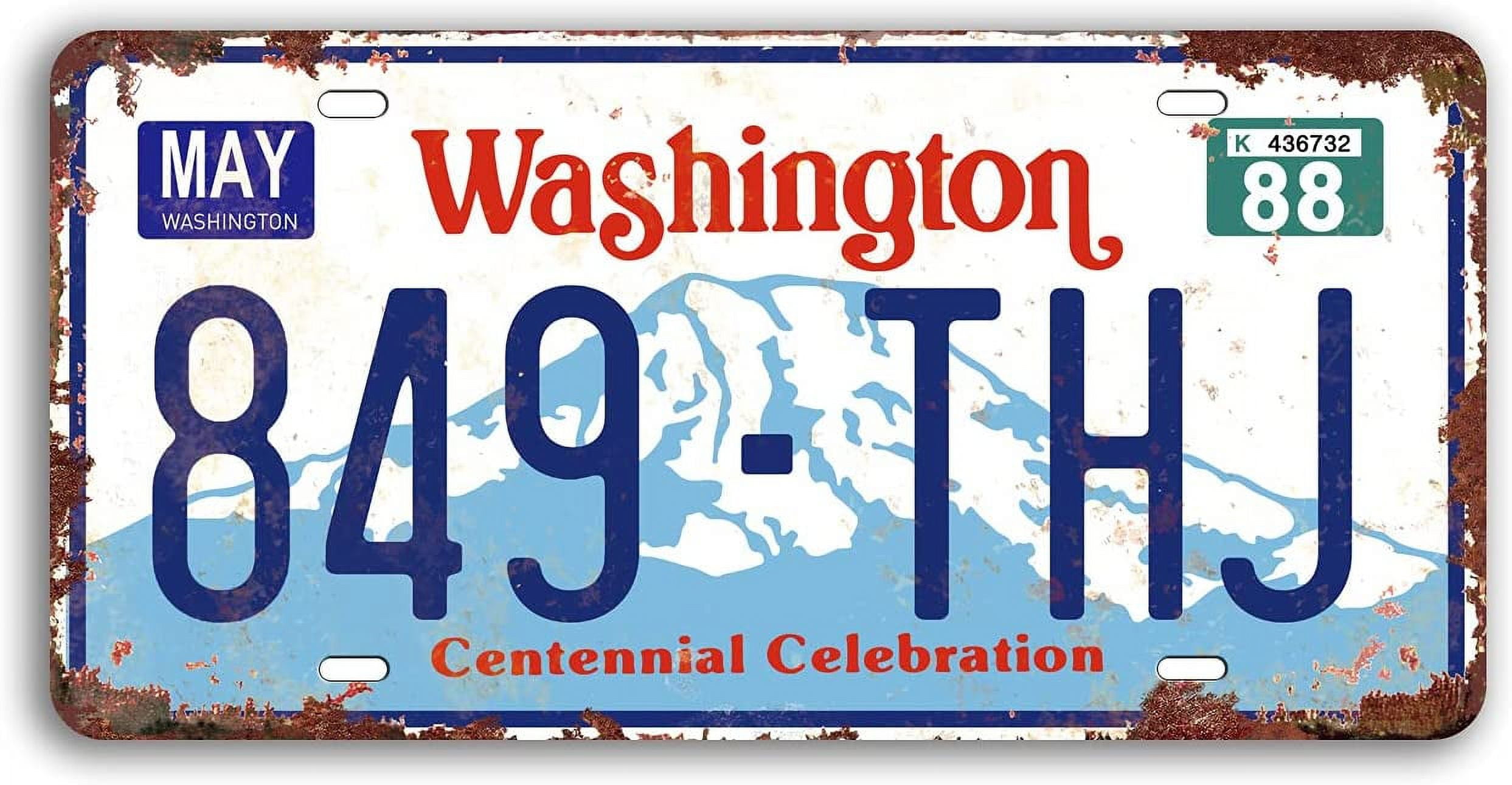 Retro Vintage U.S. State Auto Number Tags, Embossed Metal License ...