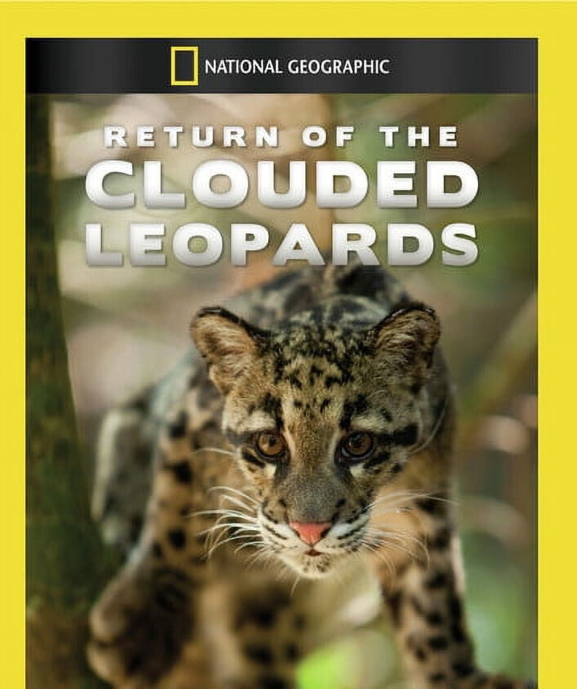 Return of the Clouded Leopards (DVD), National Geographic, Documentary ...