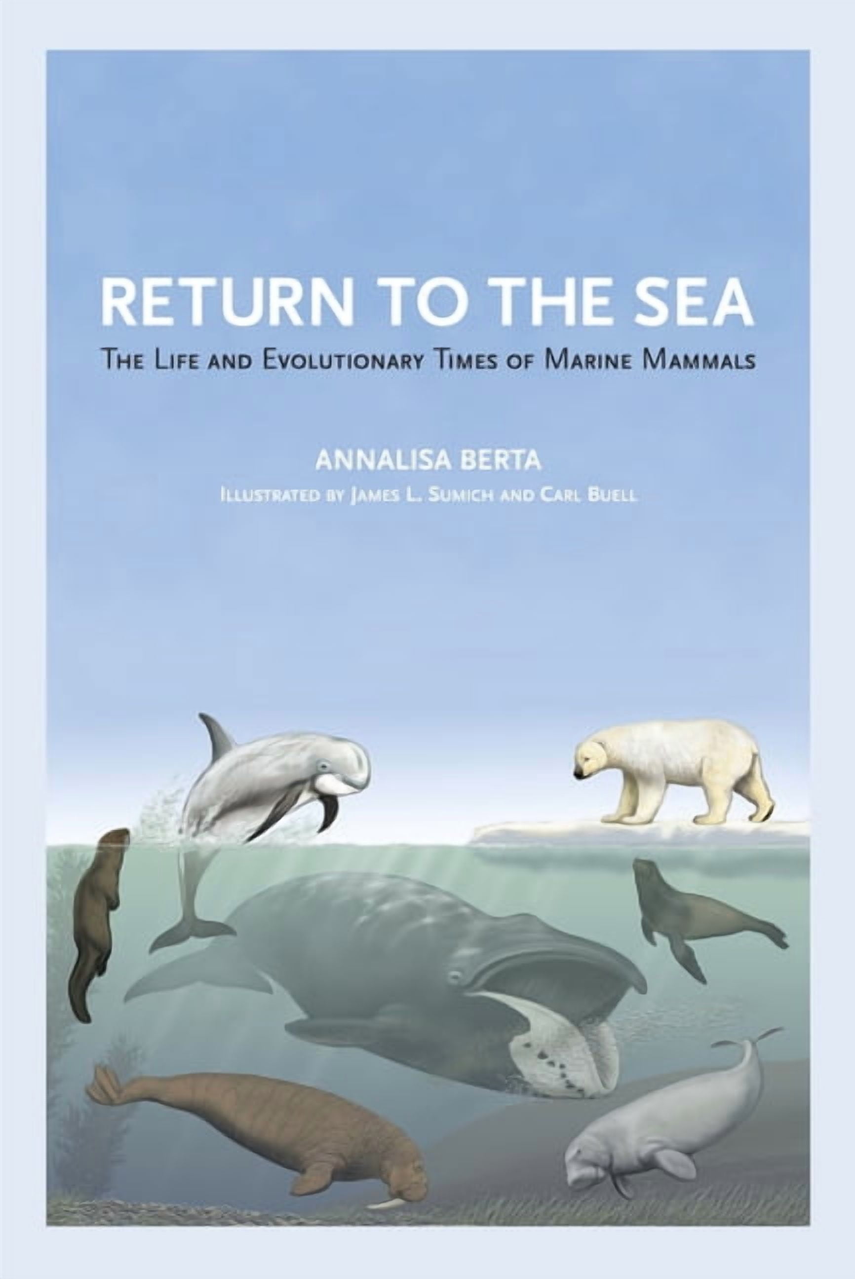 Return to the Sea : The Life and Evolutionary Times of Marine Mammals ...