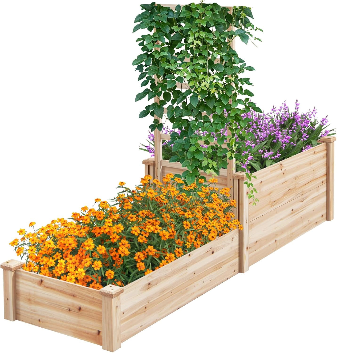 ReunionG Raised Garden Bed with Trellis, Outdoor Large Planter Box w ...