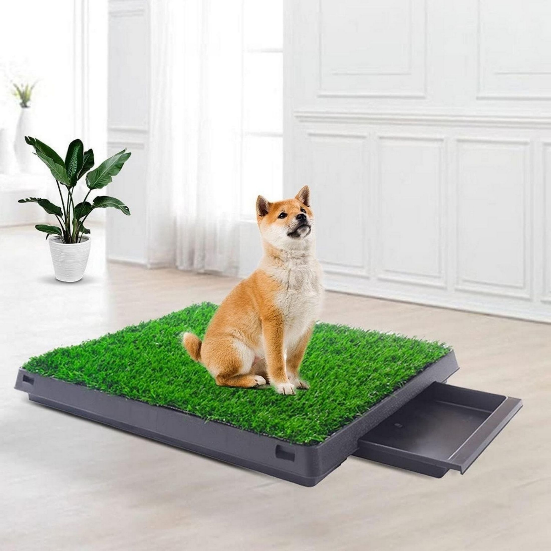 Reusable Dog Potty Training Pad with Tray - Indoor/Outdoor Pet Grass ...