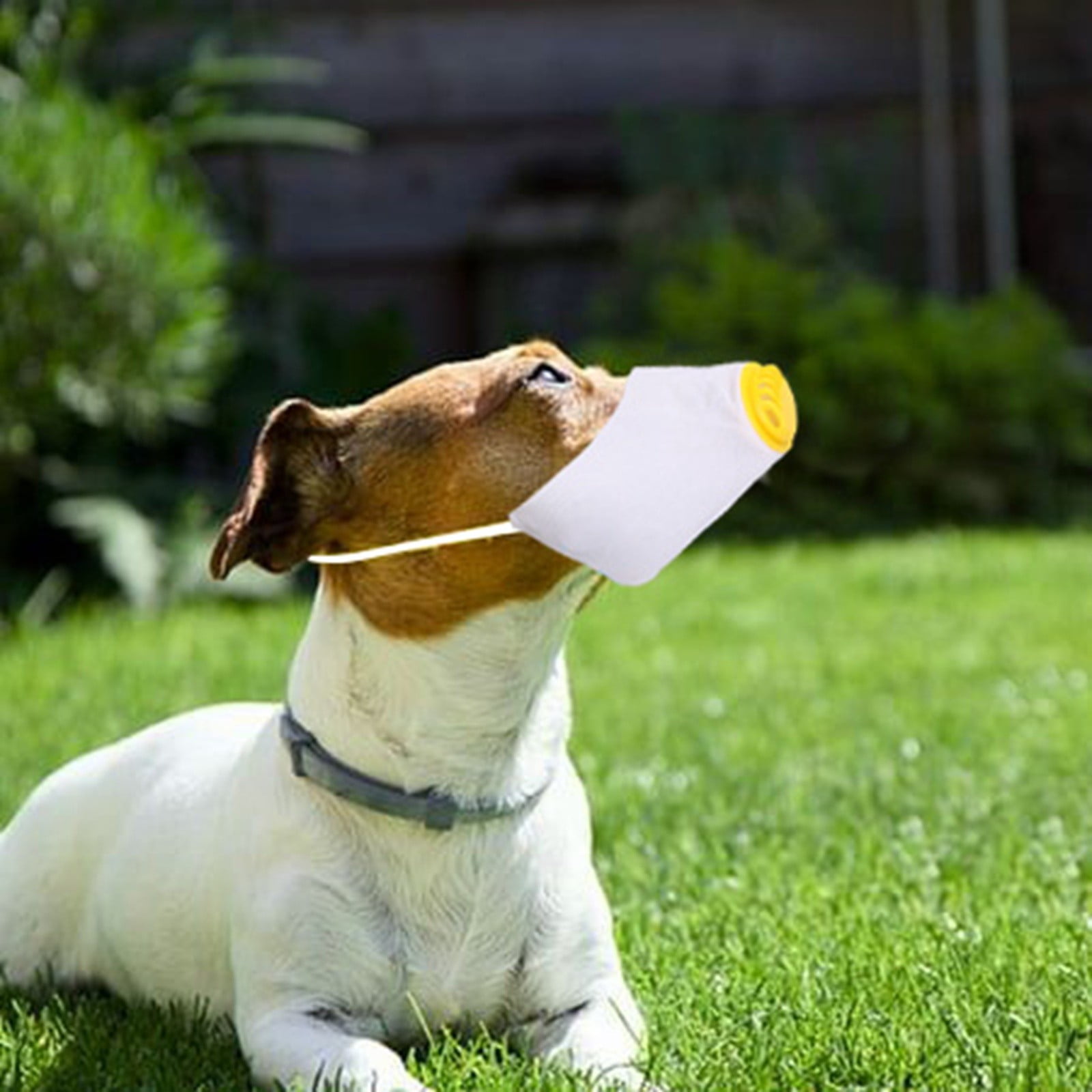 Reusable Dog Respirator Mask - Adjustable Breathable Muzzle with Air ...