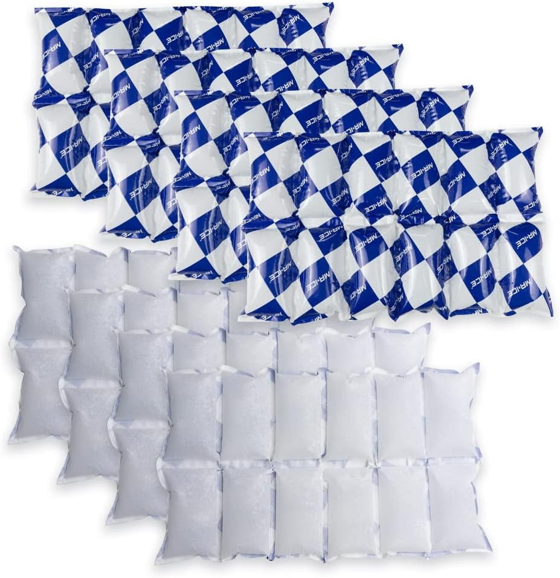Reusable Dry Ice Packs for Shipping & Storage - Long Lasting Cold Packs ...