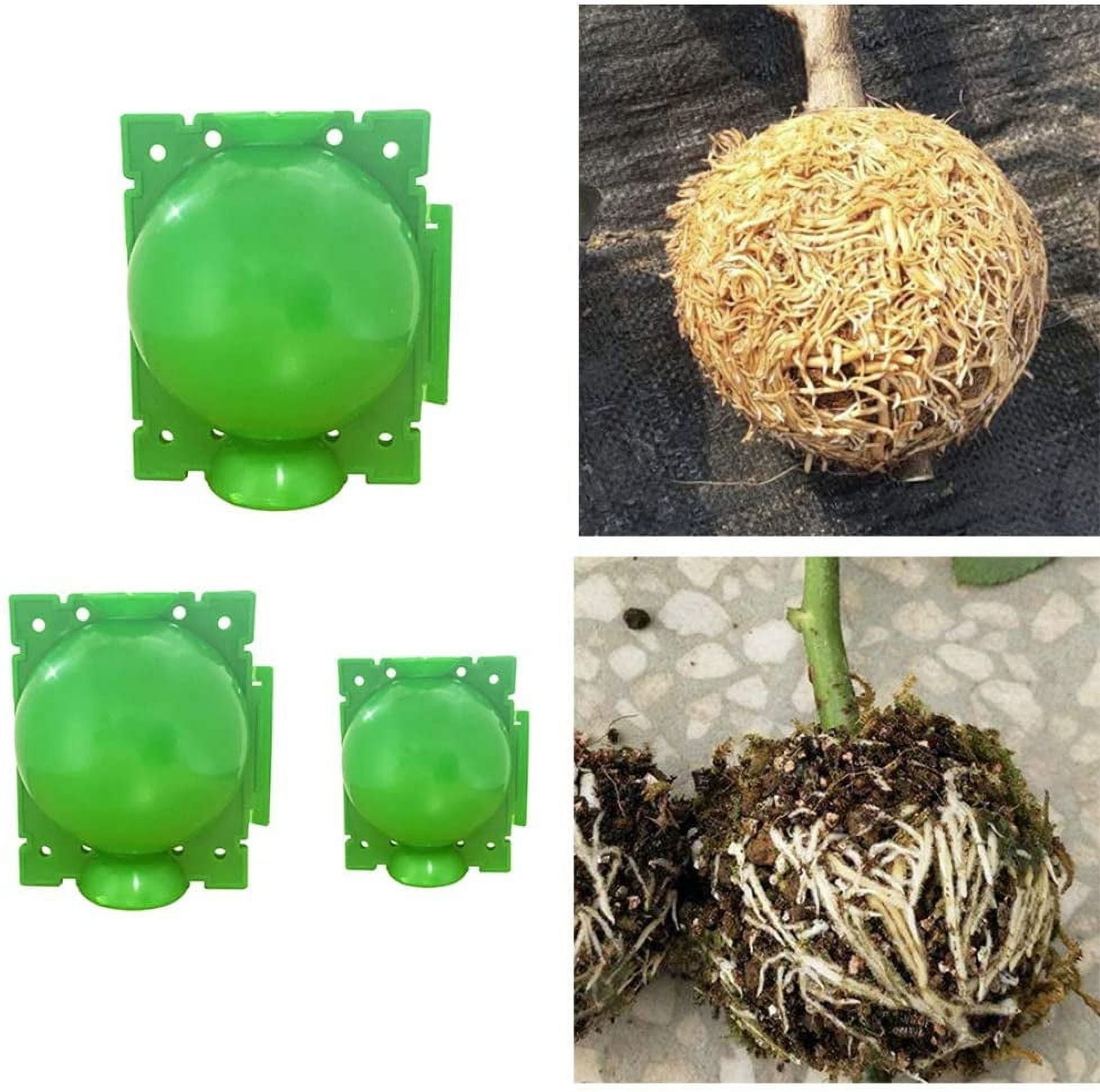 Reusable Plant Rooting Device Plant Rooting Grow Box, High Pressure ...