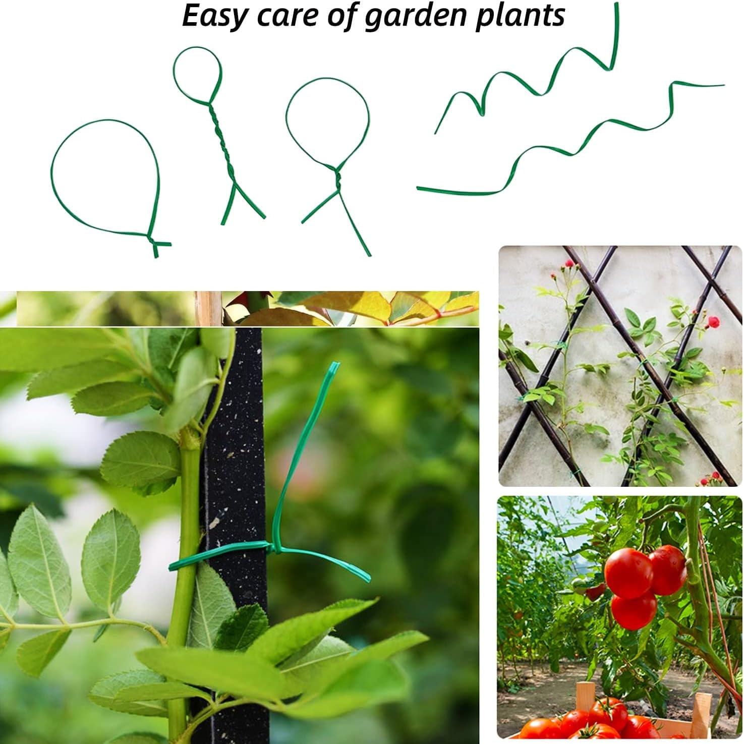 Reusable Plant Twist Ties, 8 Inch Soft Garden Ties for Climbing Plants ...