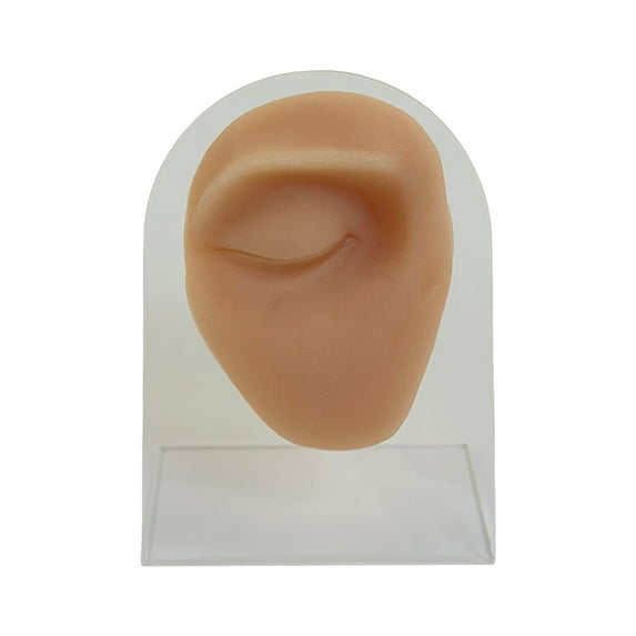 Reusable Silicone Facials Anatomy Practice Model For Safe Piercing In ...
