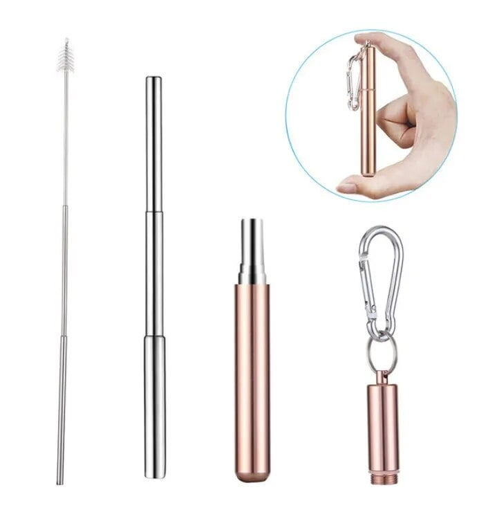 Reusable Stainless Steel Straws with Aluminum Keychain Case Cleaning ...