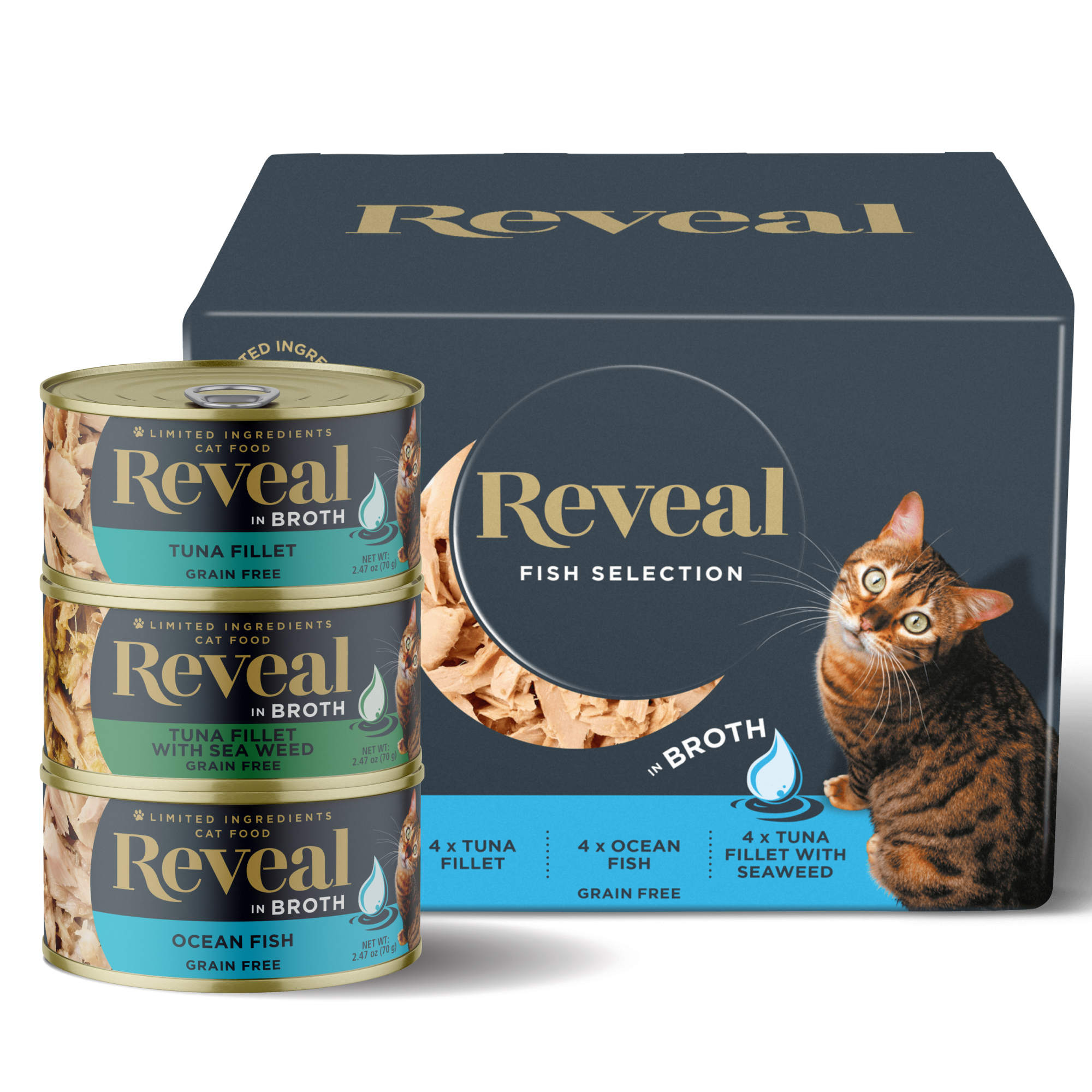 Rachael Ray Nutrish Natural Wet Cat Food, Grain Free, Ocean Fish-A ...