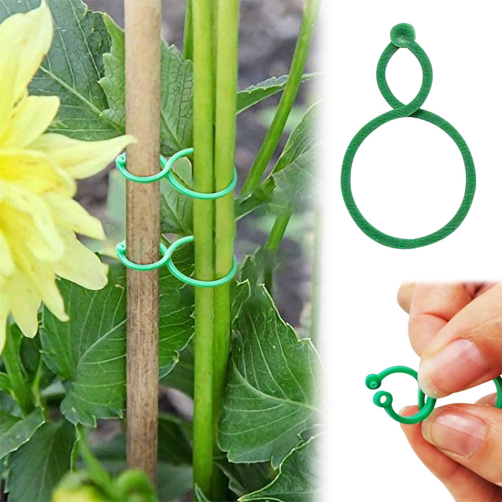 Rewenti 100pc Plant Clips for Climbing Plants - Reusable Plants Ties ...