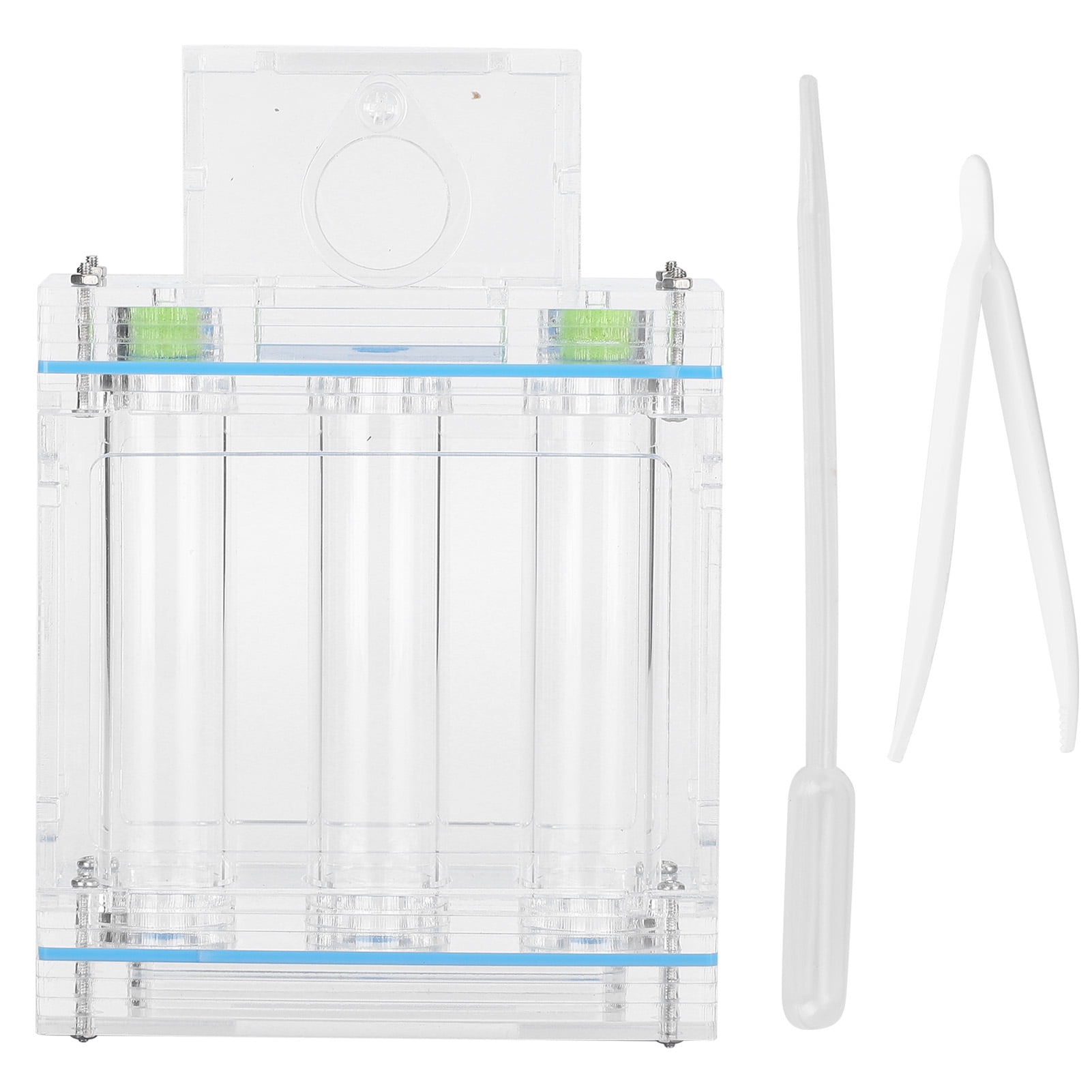 Rewera Ant Space Warehouse Nest Living Area Acrylic Transparent Ants ...